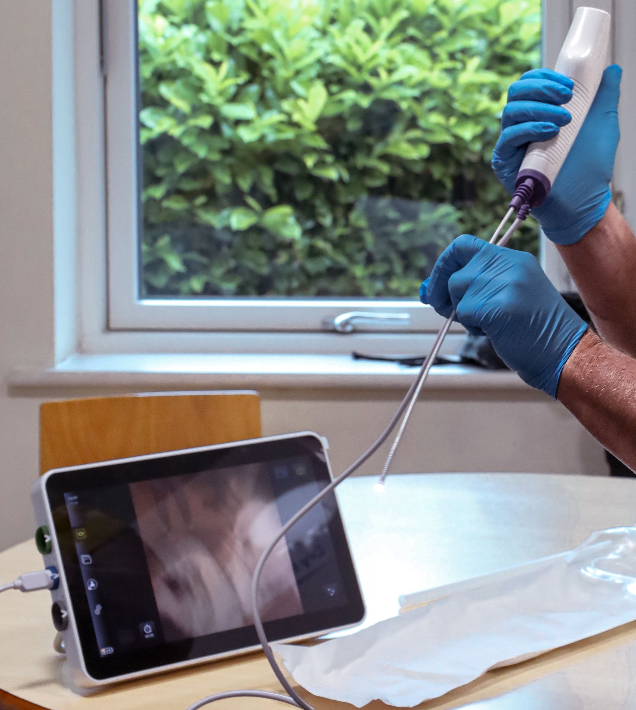 Bedside FEES assessments: